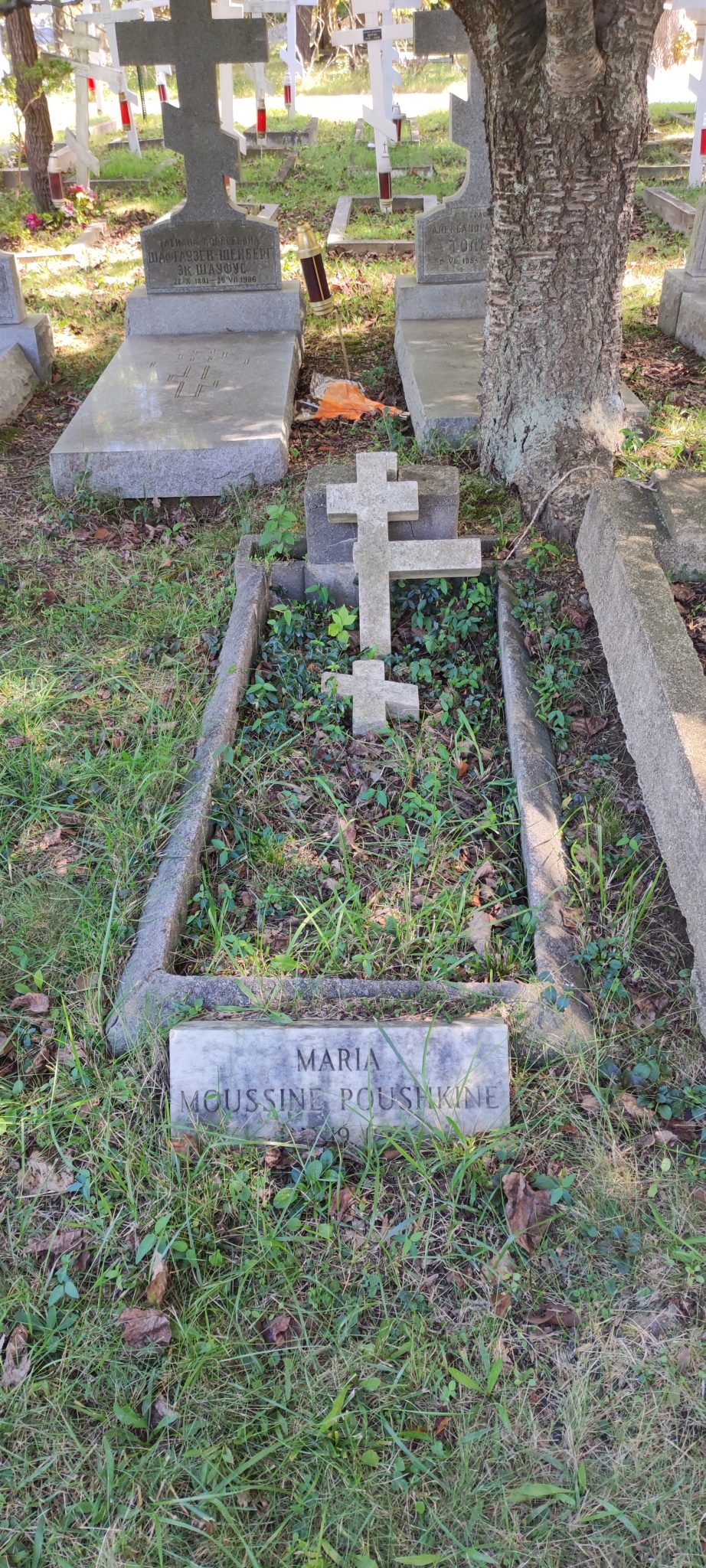 Novo-Diveevo Cemetery Restoration - Russian Orthodox Convent - Novo Diveevo